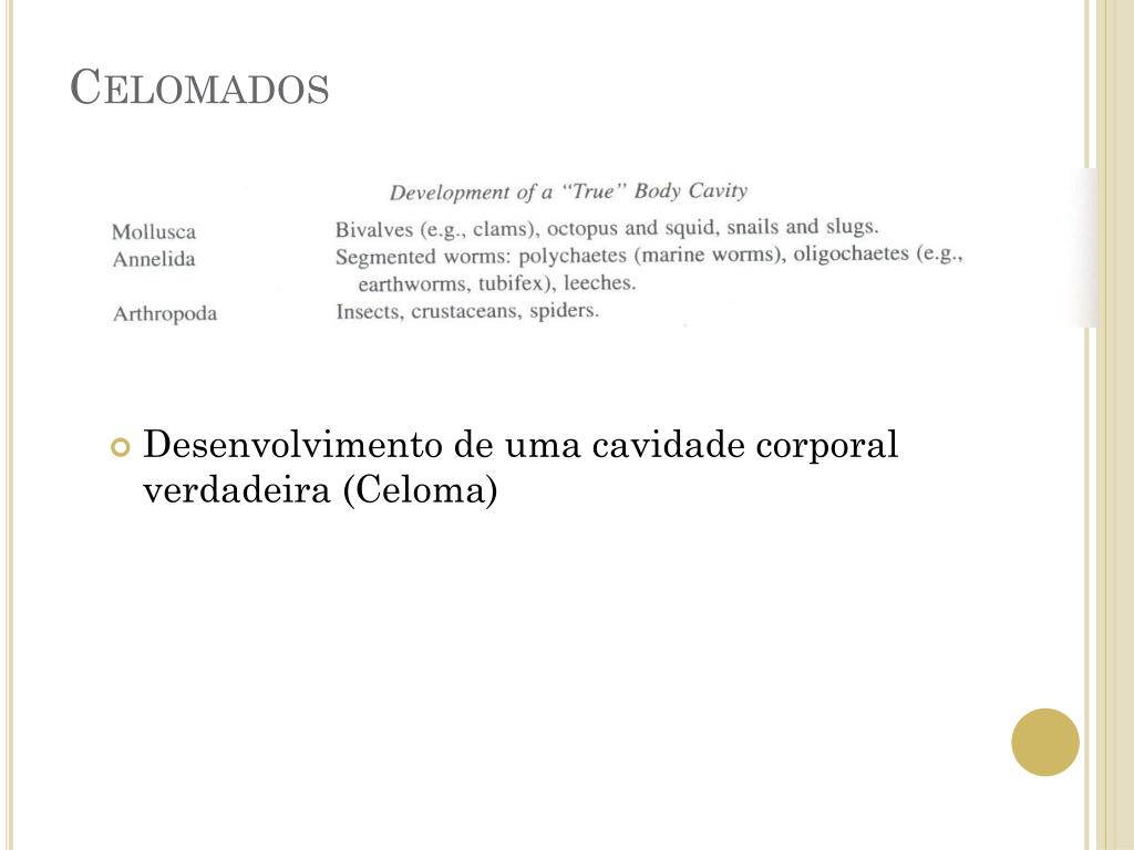 PPT - REINO ANIMALIA PowerPoint Presentation, free download - ID:2263938