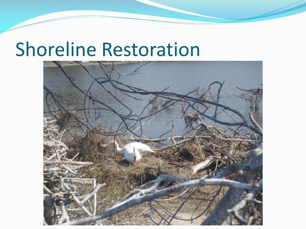 PPT - Comprehensive Lake Management Report 2012 PowerPoint Presentation ...