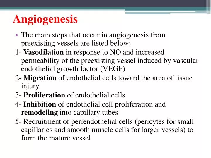 PPT - Angiogenesis PowerPoint Presentation, free download - ID:2263996