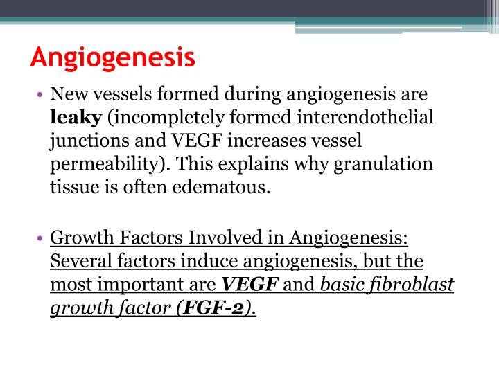 PPT - Angiogenesis PowerPoint Presentation - ID:2263996