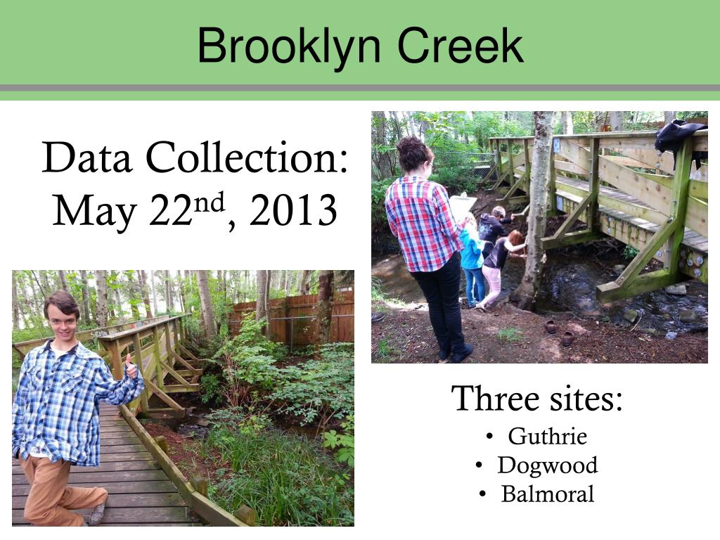 PPT - A Chemical and Microbiological Assessment of Brooklyn Creek ...