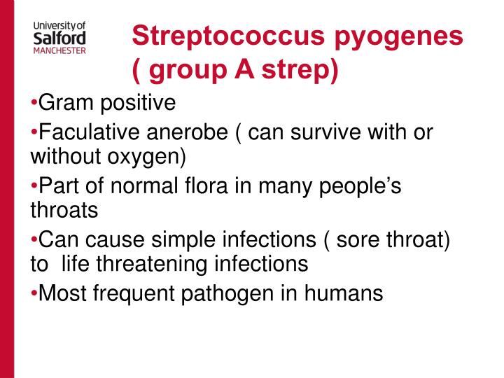 PPT - Introduction to microbiology PowerPoint Presentation - ID:2264626
