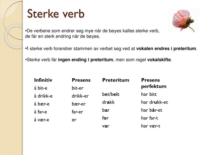 PPT - Verb PowerPoint Presentation - ID:2264987