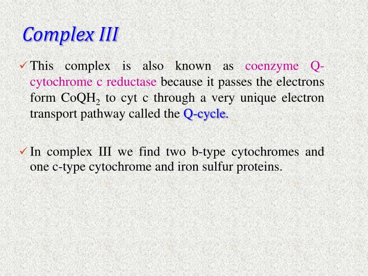 PPT - Electron Transport Chain and Oxidative Phosphorylation PowerPoint ...