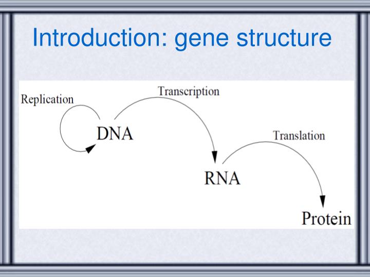 PPT - Gene finding and gene structure prediction PowerPoint ...
