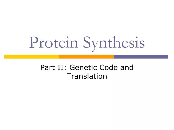 PPT - Protein Synthesis PowerPoint Presentation, free download - ID:2266143