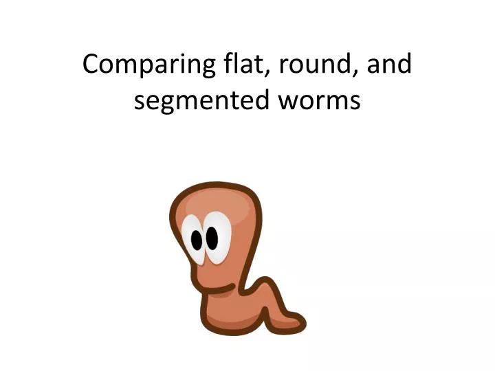 PPT - Comparing flat, round, and segmented worms PowerPoint ...