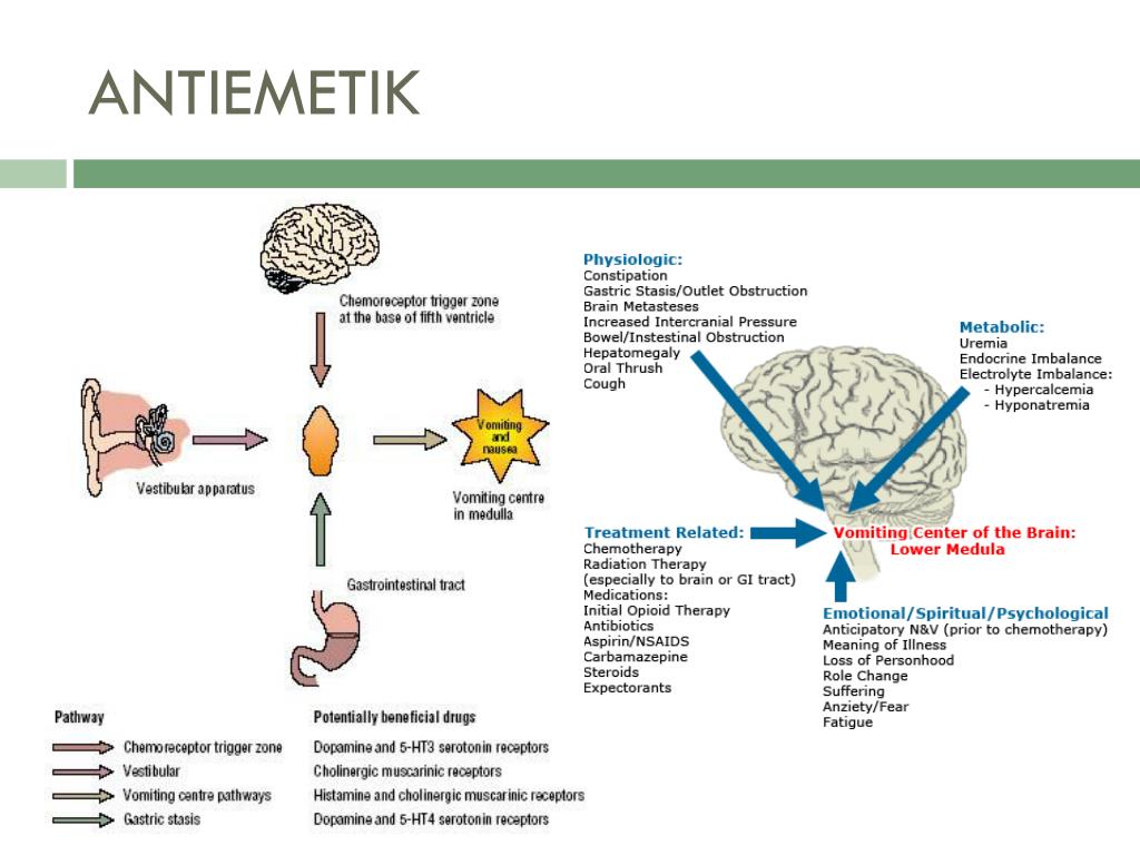 PPT - Obat-obatan Sistem Saraf Pusat PowerPoint Presentation, free ...