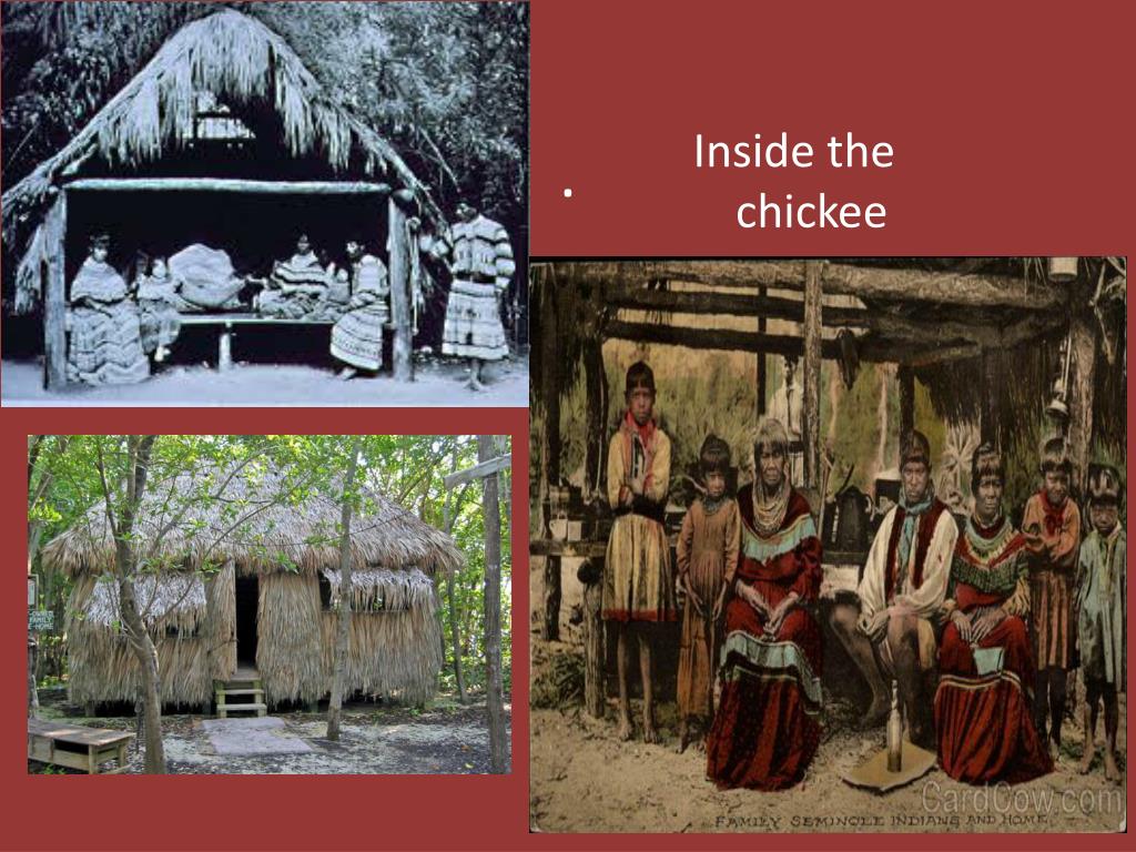 PPT - The Seminole people of the Southeast Region PowerPoint ...