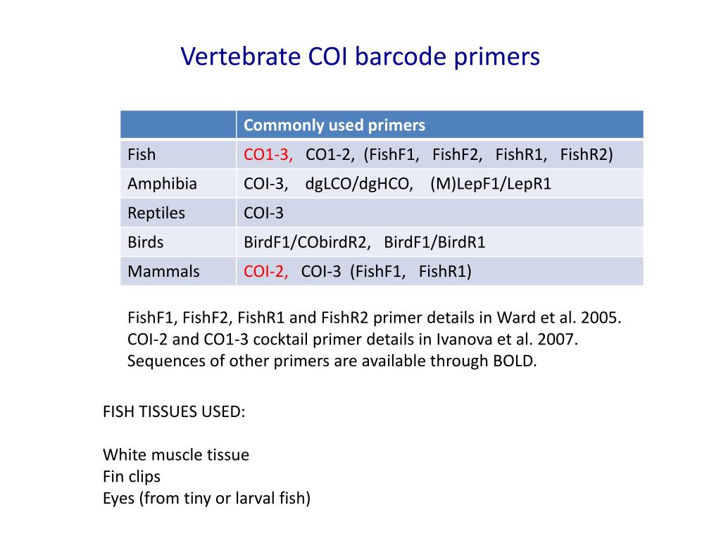 PPT - Fish ‘barcode blitz’ at Lizard Island (Great Barrier Reef ...