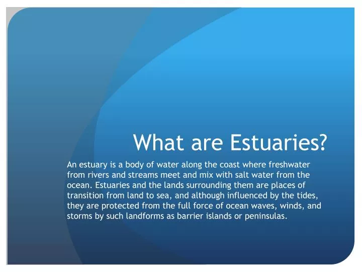 PPT - What are Estuaries? PowerPoint Presentation, free download - ID ...