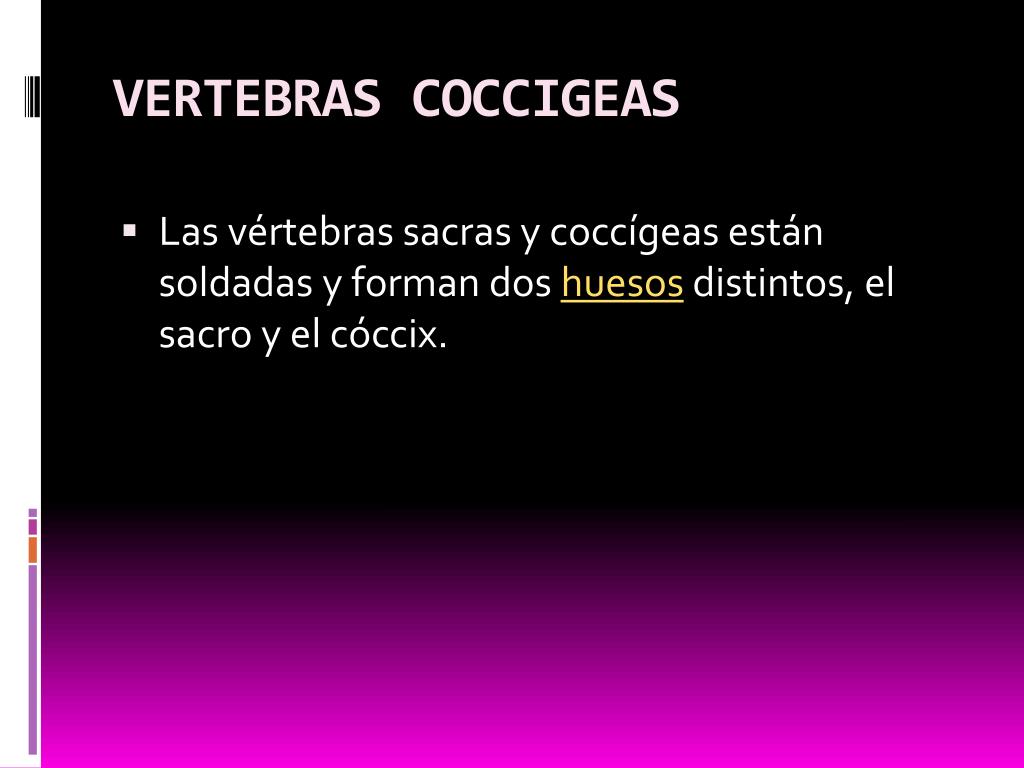 PPT - Anexo : Huesos del esqueleto humano PowerPoint Presentation, free ...