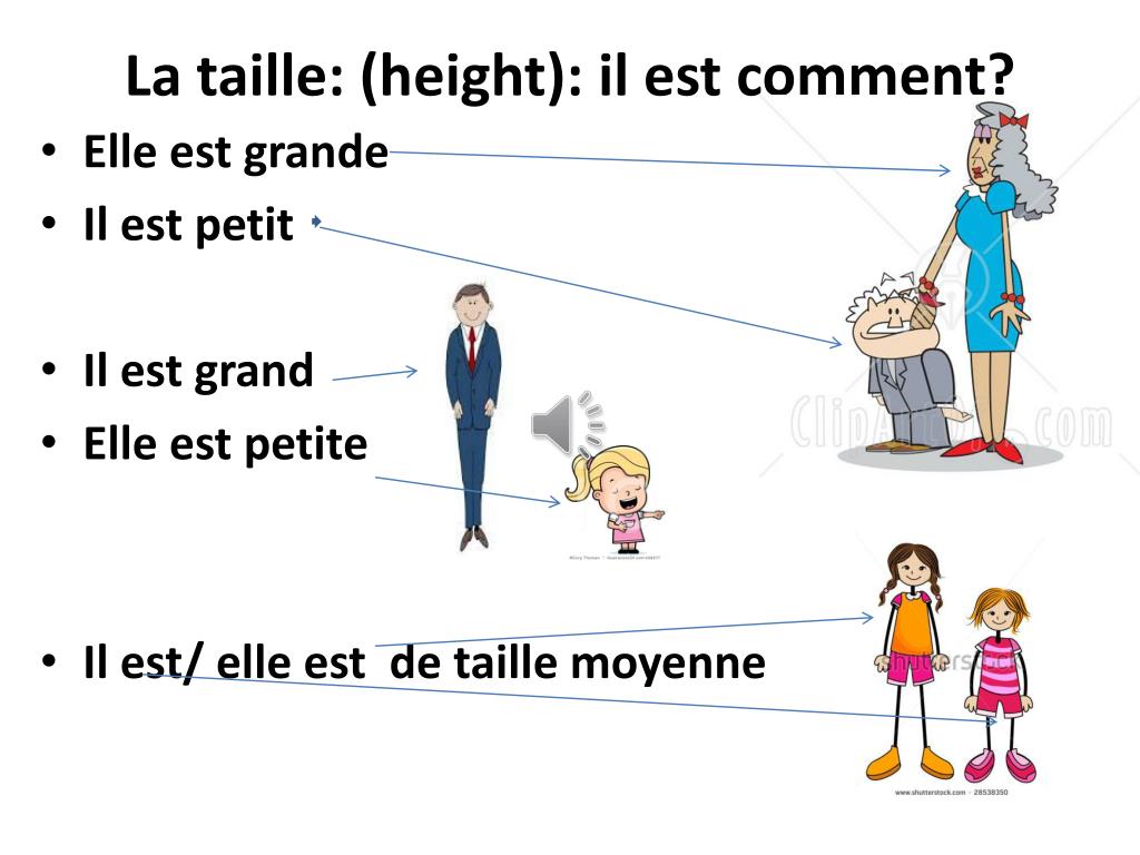 PPT - I can describe someone’s size, hair and eyes PowerPoint ...