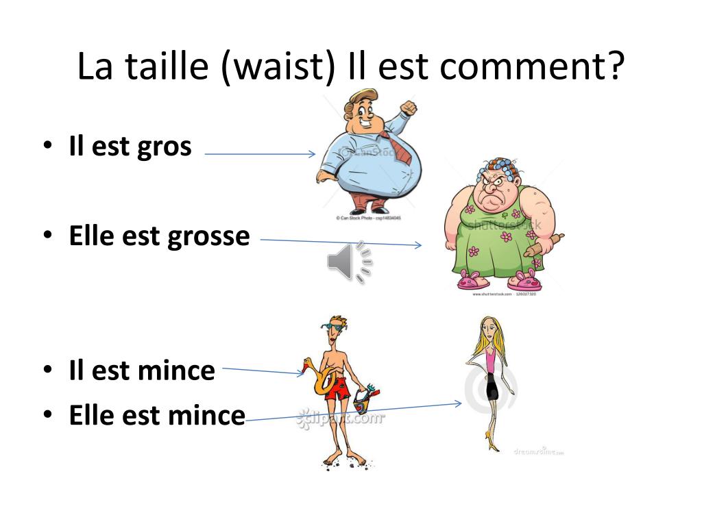 PPT - I can describe someone’s size, hair and eyes PowerPoint ...