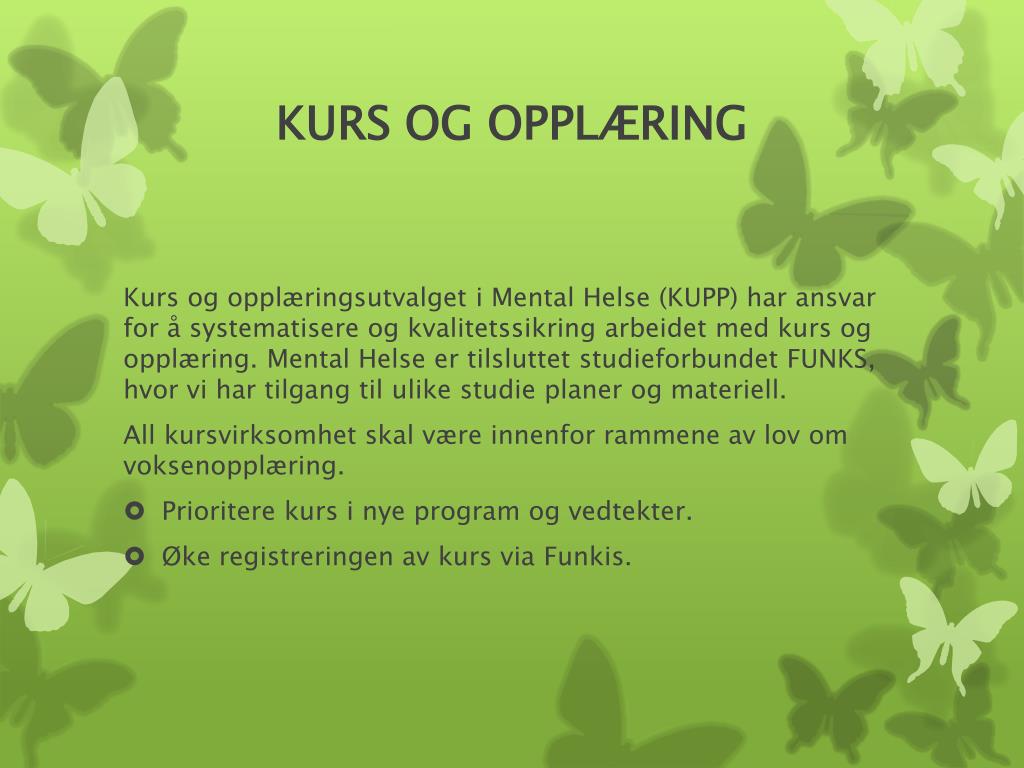 PPT - ORGANISASJONSOPPLÆRING PowerPoint Presentation, free download - ID:2267021