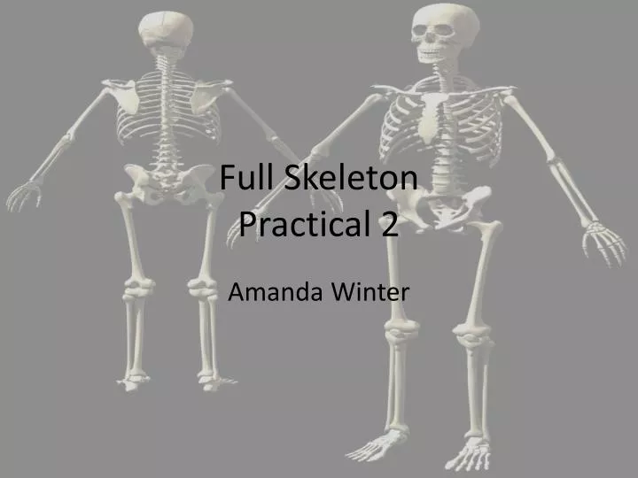 PPT - Full Skeleton Practical 2 PowerPoint Presentation, free download ...