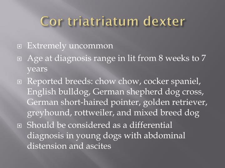 PPT - Cor triatriatum dexter PowerPoint Presentation - ID:2267182