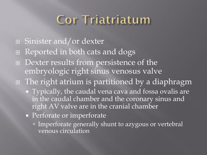 PPT - Cor triatriatum dexter PowerPoint Presentation - ID:2267182
