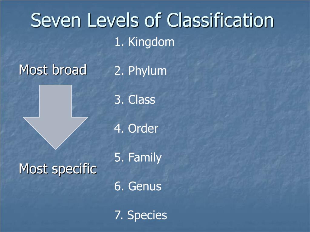Levels Of Classification From Most Complex To Simplest At Tom Wildes Blog