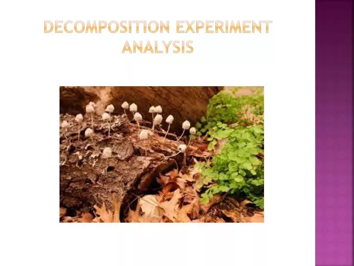 PPT - Decomposition Experiment Analysis PowerPoint Presentation, free ...