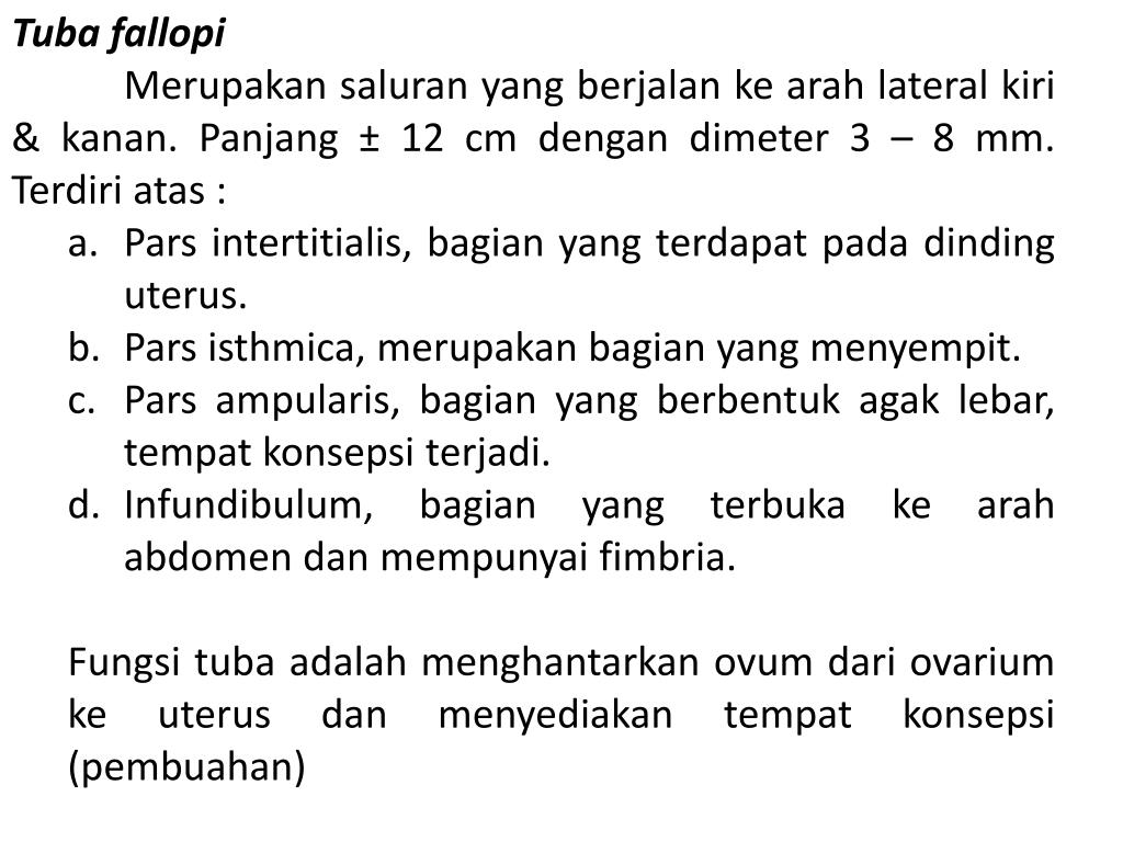 PPT - Sistem Reproduksi PowerPoint Presentation, free download - ID:2267534