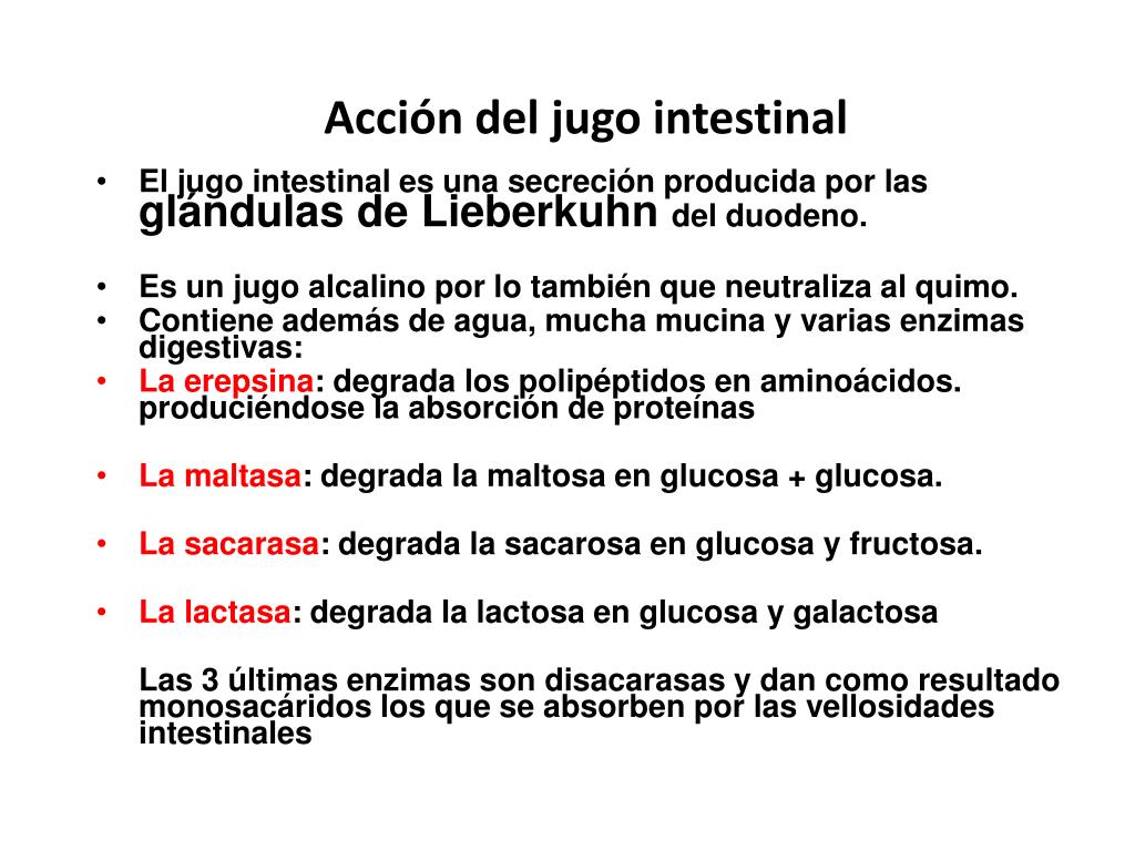 PPT - SEMINARIO DE BIOLOGÍA REPASO SAN MARCOS PowerPoint Presentation ...