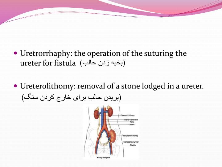 PPT - In the name of God PowerPoint Presentation - ID:2267833