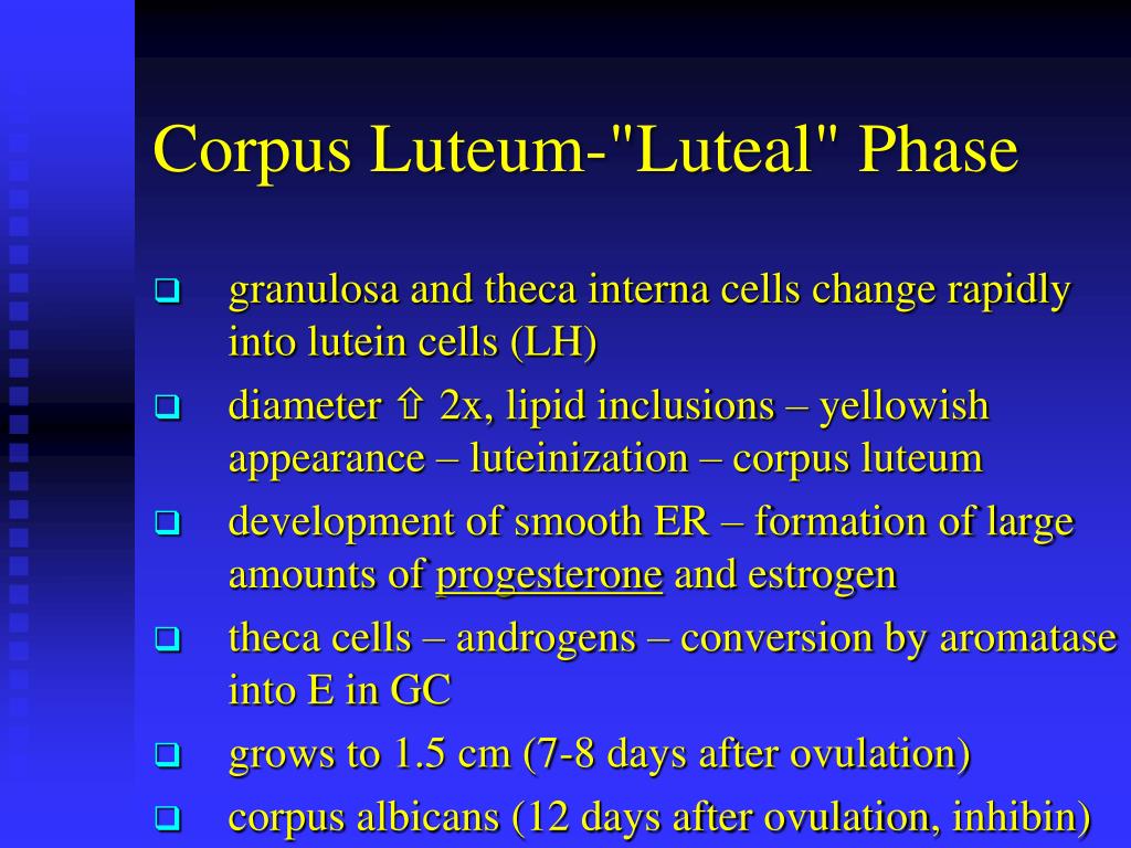 PPT - Female Physiology Before Pregnancy and Female Hormones PowerPoint ...