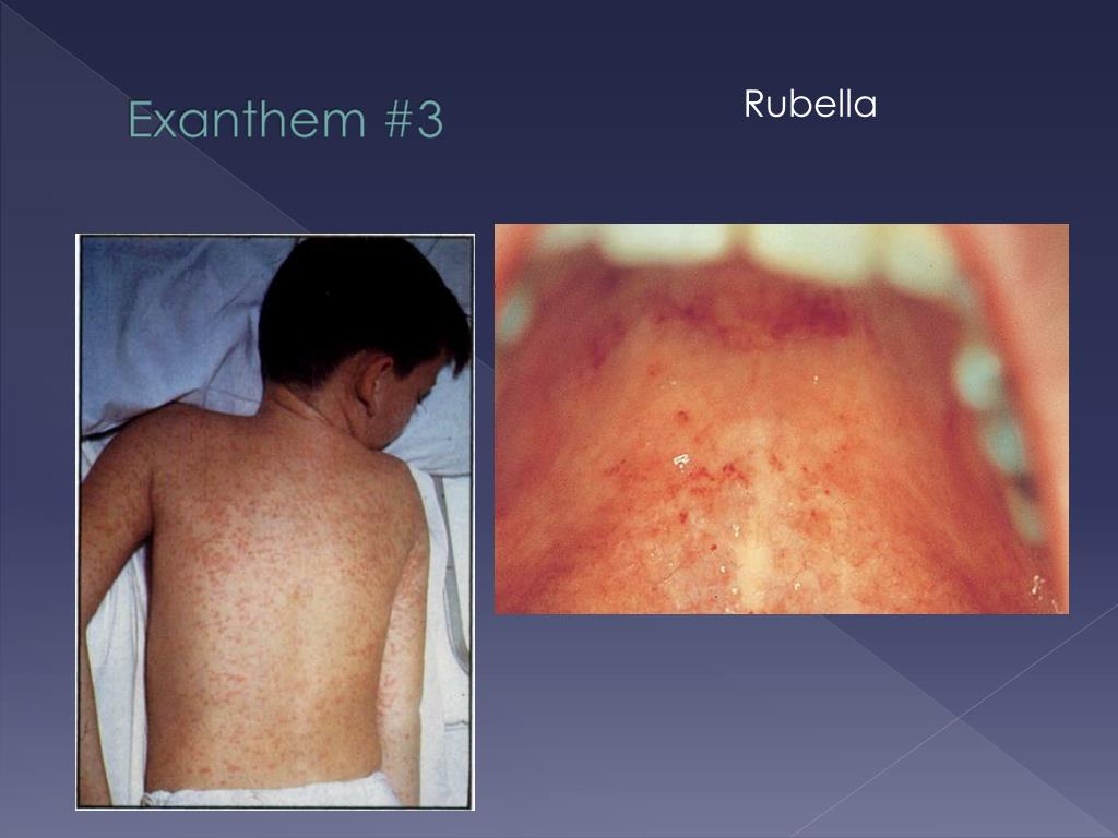 PPT - Good Morning! Happy Monday PowerPoint Presentation, free download ...