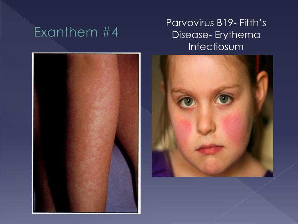 PPT - Good Morning! Happy Monday PowerPoint Presentation, free download ...