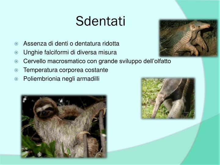 PPT - I placentati PowerPoint Presentation - ID:2267933