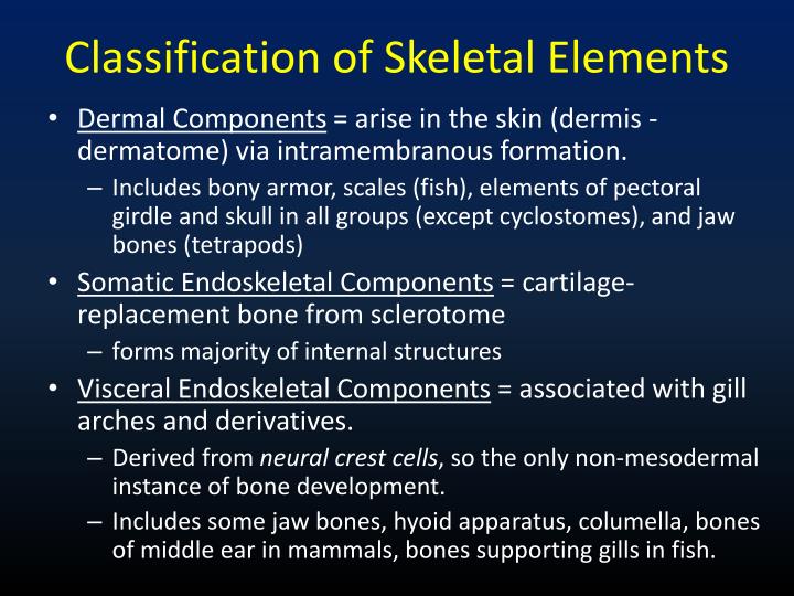 PPT - 4 Tissue Types in the Body PowerPoint Presentation - ID:2267953
