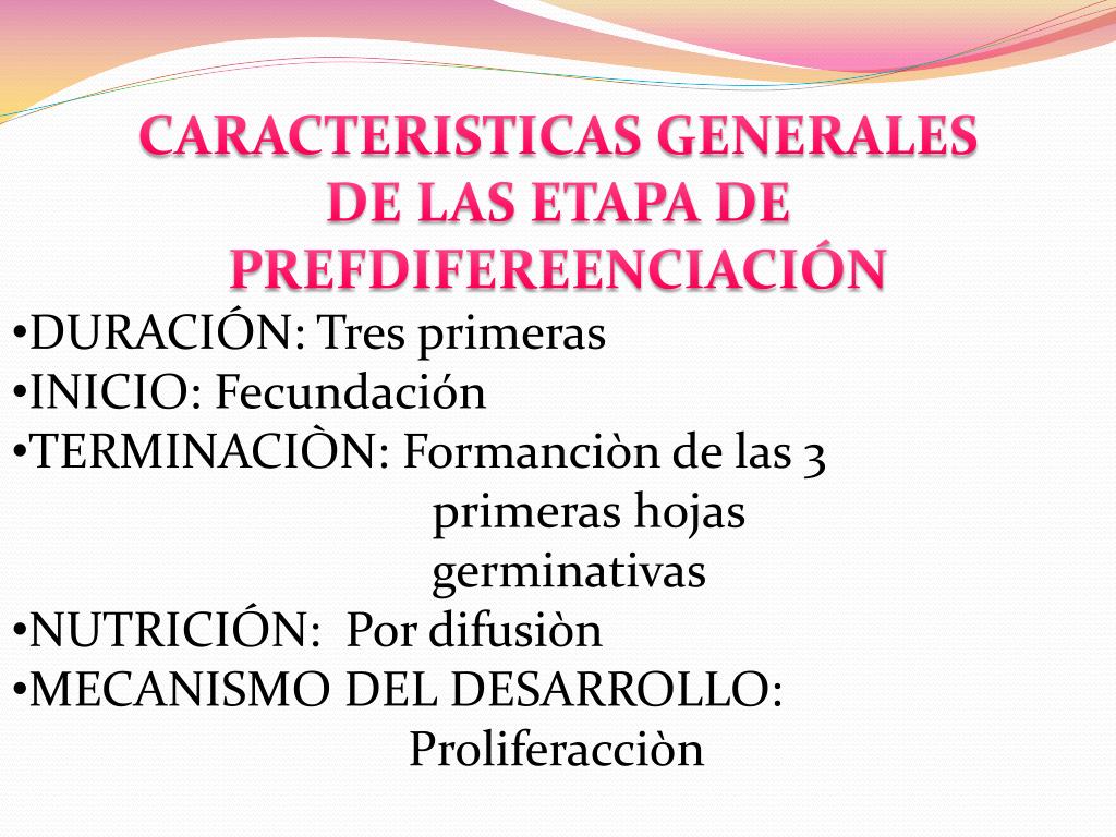 PPT - ETAPAS DE PREDIFERENCIACIÓN PowerPoint Presentation, free ...