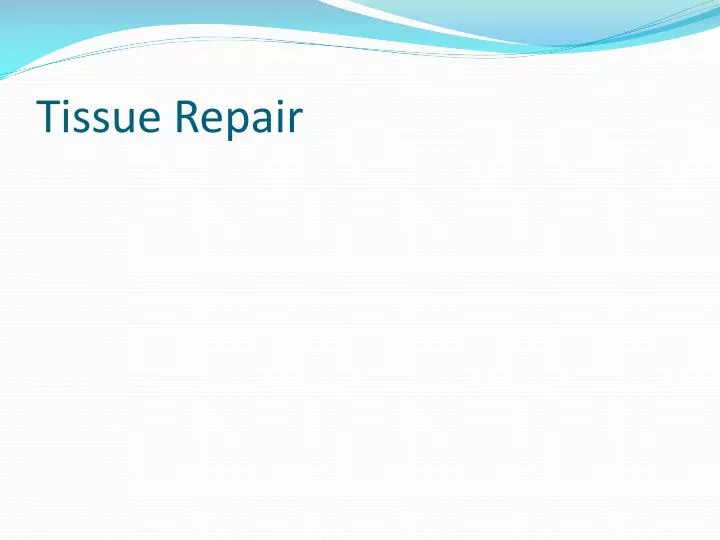 PPT - Tissue Repair PowerPoint Presentation, free download - ID:2268802