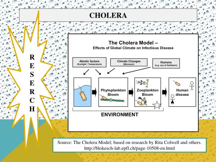 PPT - Cholera risk, Infection, and PowerPoint Presentation - ID:2269451