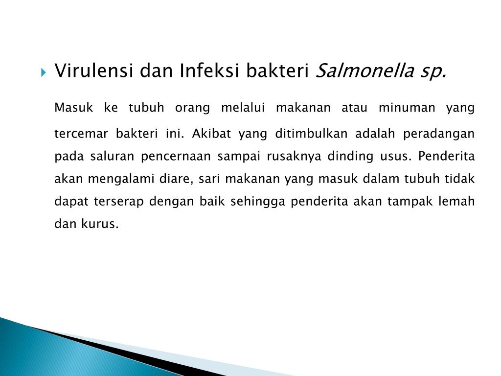 PPT - BAKTERI SALURAN CERNA DAN SALURAN NAFAS PowerPoint Presentation ...
