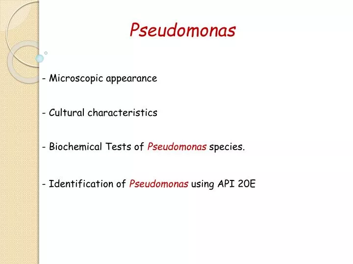 PPT - Pseudomonas PowerPoint Presentation, free download - ID:2269529