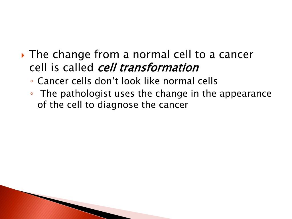 PPT - Biology of Cancer: PowerPoint Presentation, free download - ID ...