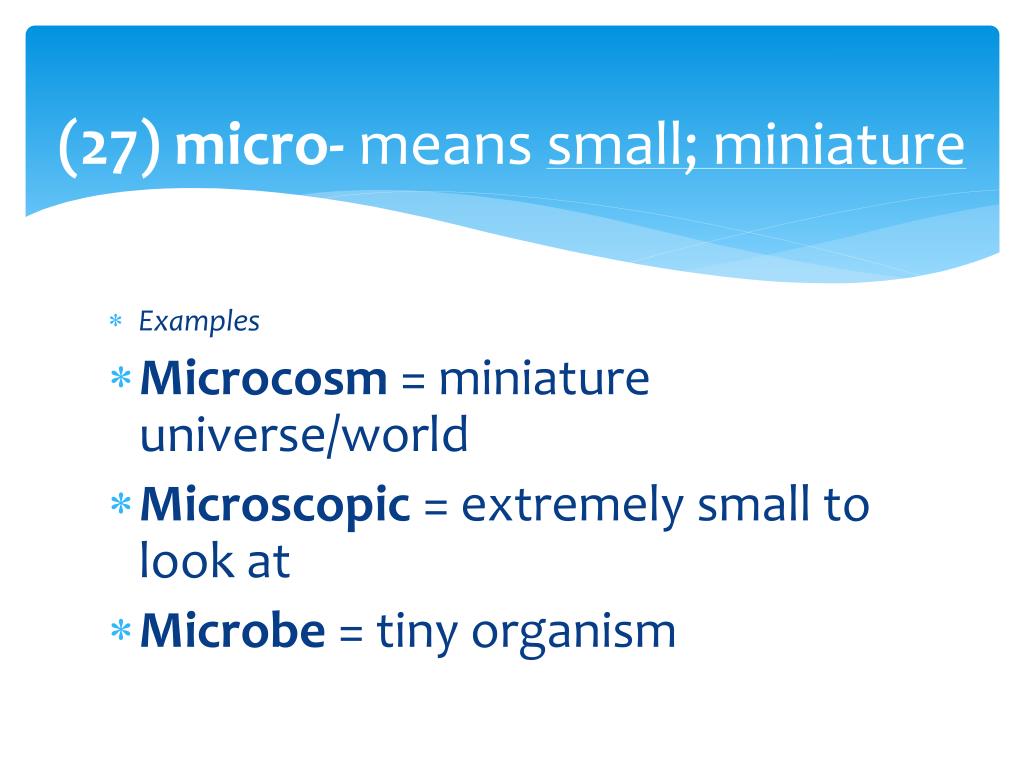 PPT - Latin and Greek roots and affixes PowerPoint Presentation, free ...