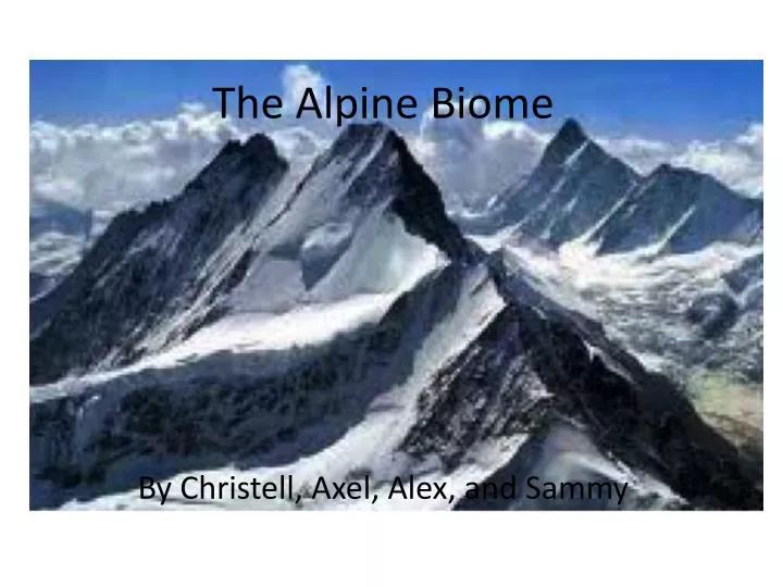 PPT - The Alpine Biome PowerPoint Presentation, free download - ID:2270333