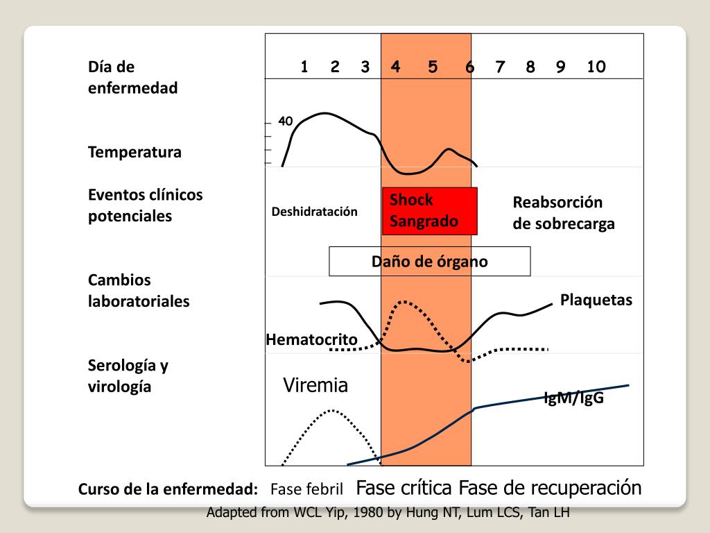 PPT - PANORAMA EPIDEMIOLOGICO DEL DENGUE EN MÉXICO PowerPoint ...