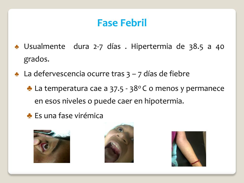PPT - PANORAMA EPIDEMIOLOGICO DEL DENGUE EN MÉXICO PowerPoint ...