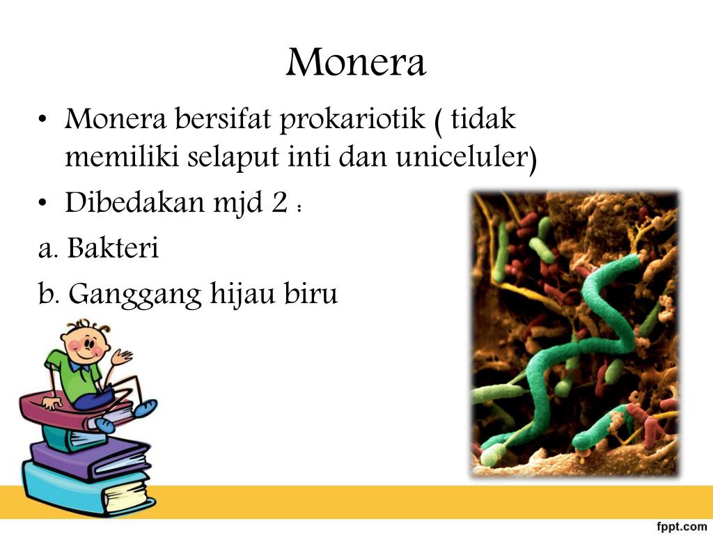 PPT - Klasifikasi Makhluk Hidup PowerPoint Presentation, free download ...
