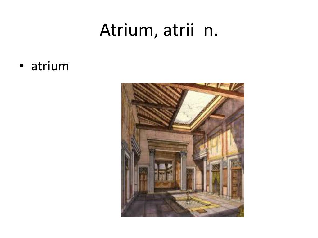 PPT - Latin One NounsVocabulary 2013-2014 PowerPoint Presentation, free ...