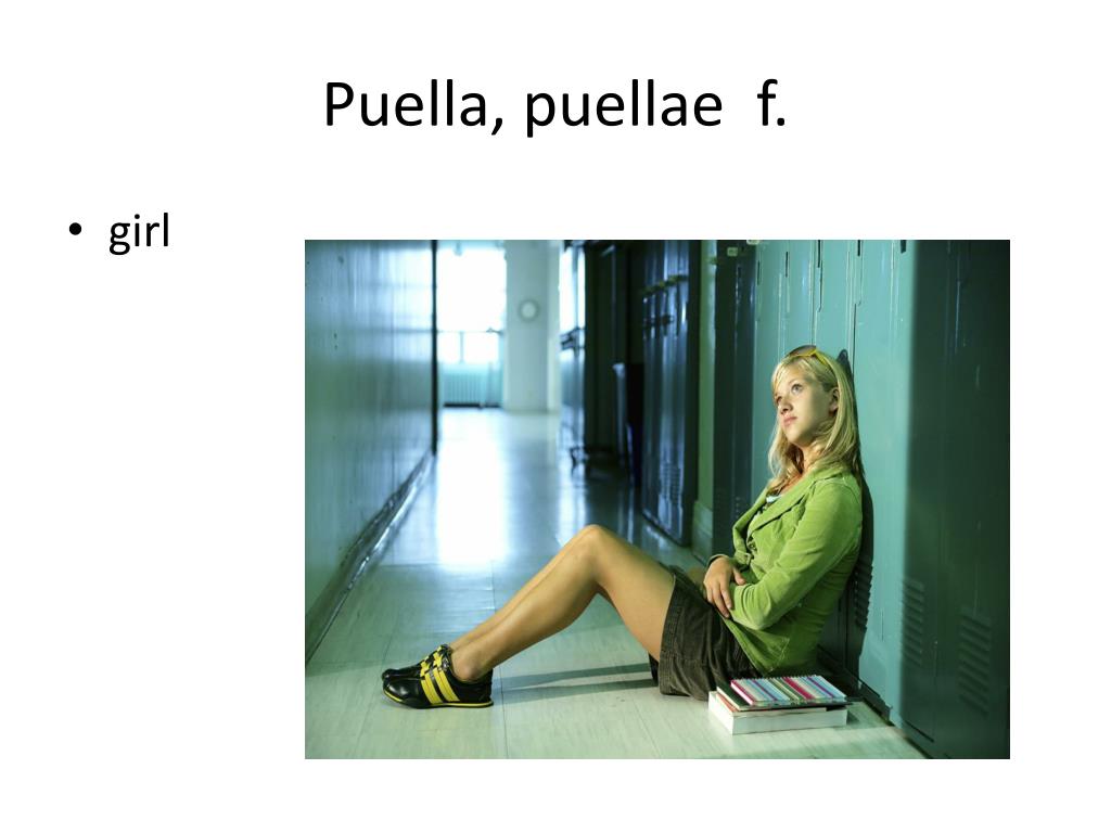 PPT - Latin One NounsVocabulary 2013-2014 PowerPoint Presentation, free ...