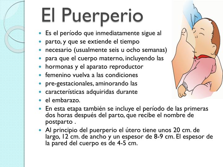 PPT - Involución Uterina y Cuidados en el Puerperio PowerPoint ...