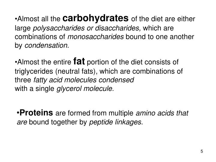 PPT - Gastrointestinal Physiology PowerPoint Presentation - ID:2271735