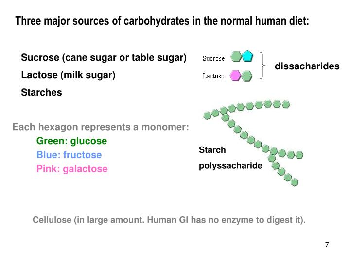 PPT - Gastrointestinal Physiology PowerPoint Presentation - ID:2271735