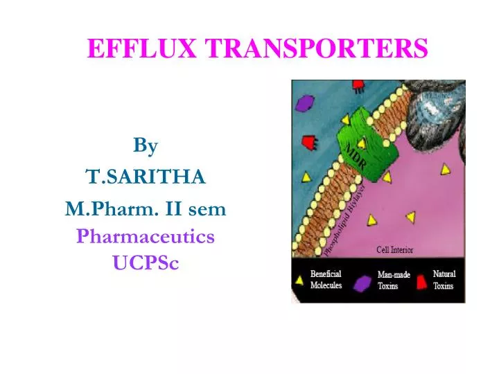 PPT - EFFLUX TRANSPORTERS PowerPoint Presentation, free download - ID ...