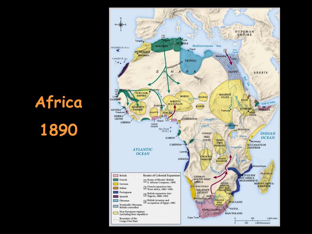 PPT - A Brief History of Imperialism in Africa PowerPoint Presentation ...